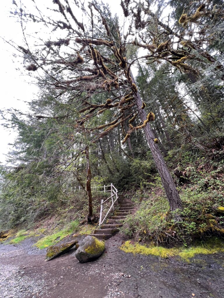 Cascadia County Park | Linn County, OR