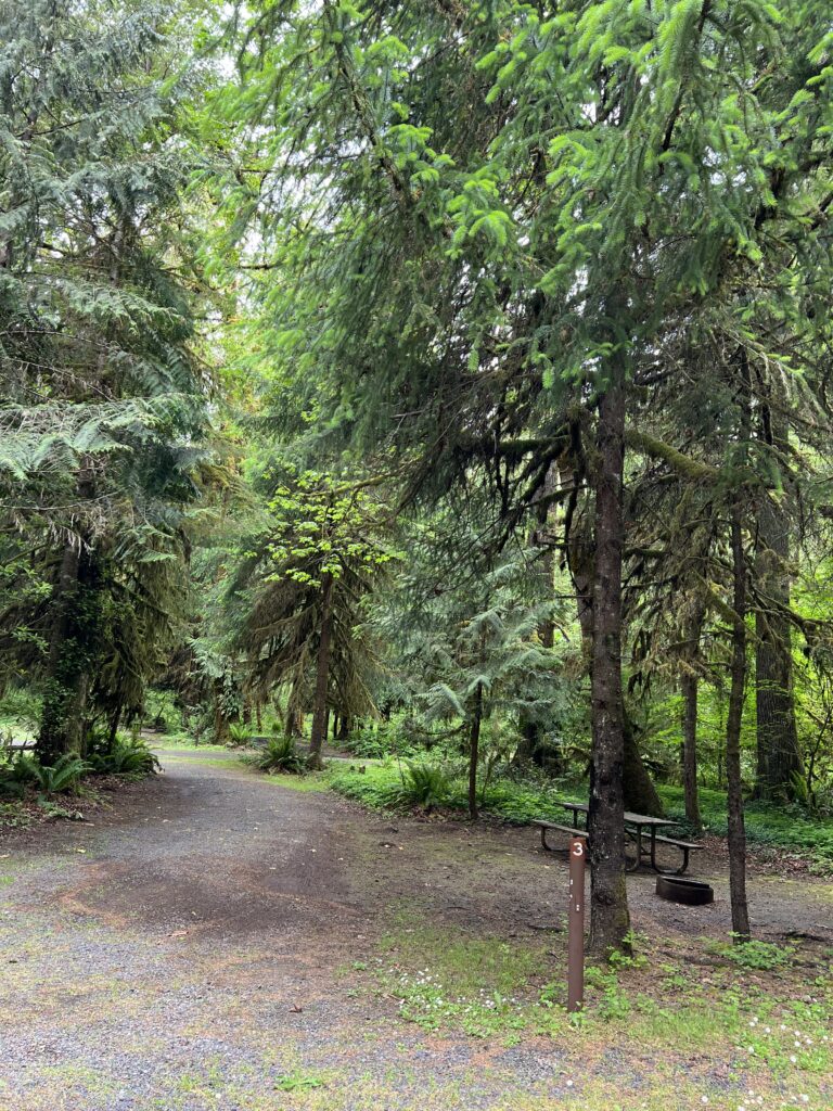 Cascadia County Park | Linn County, OR