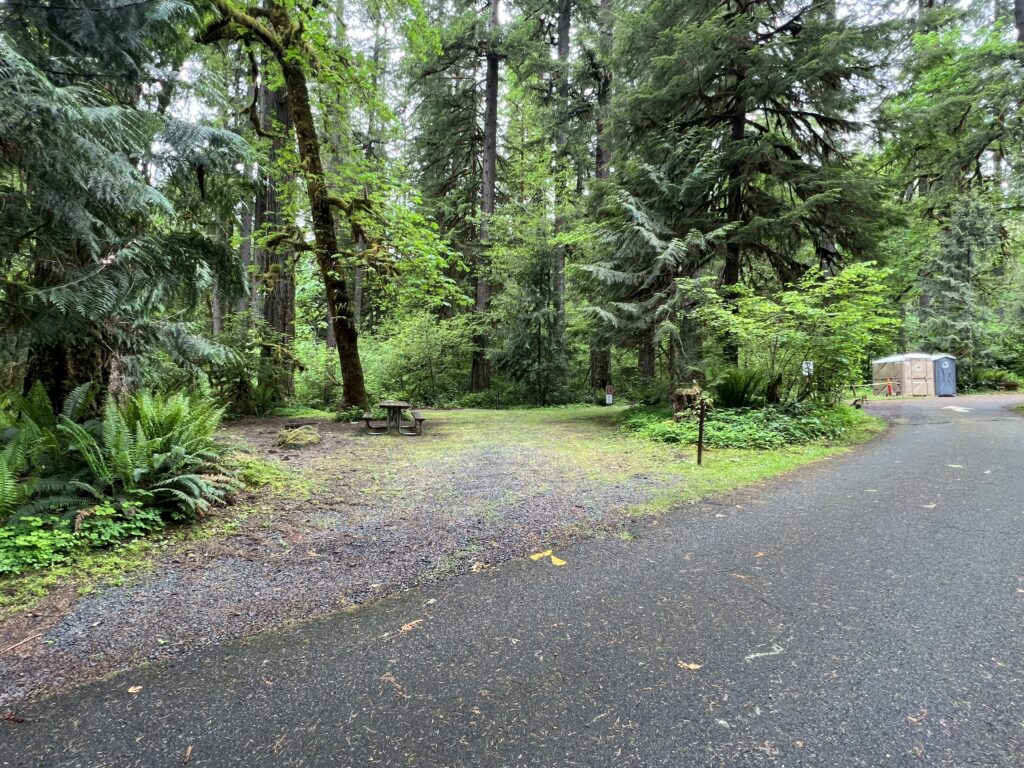 Cascadia County Park | Linn County, OR