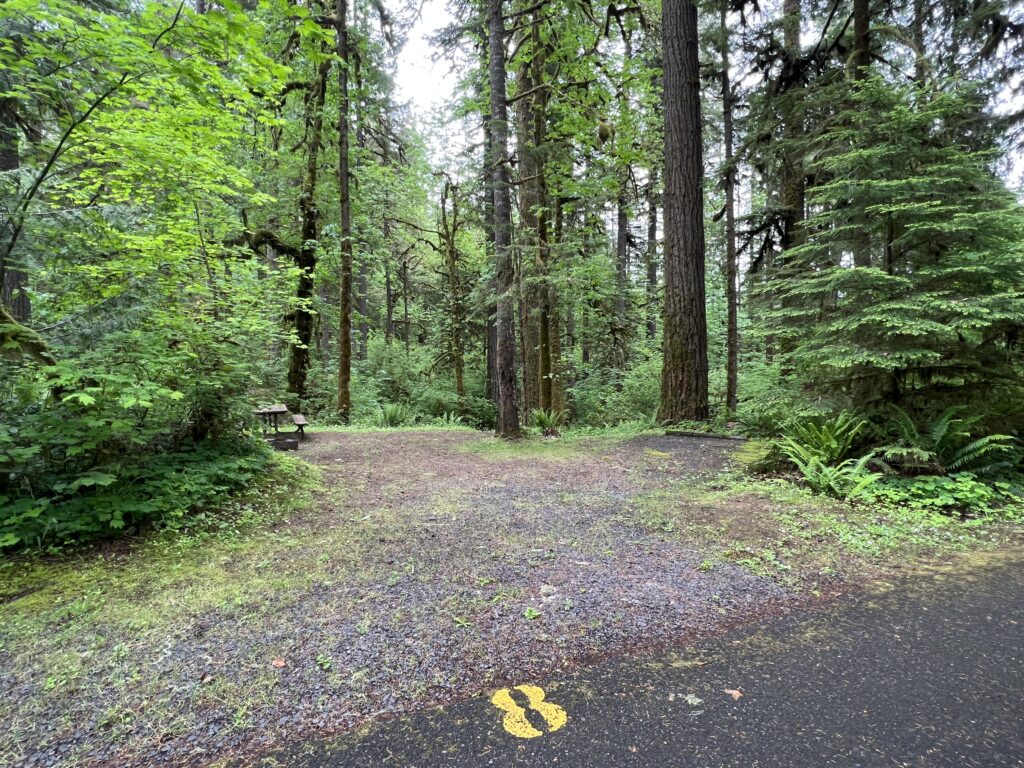 Cascadia County Park | Linn County, OR