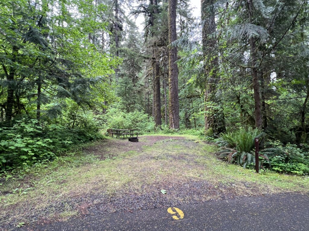 Cascadia County Park | Linn County, OR