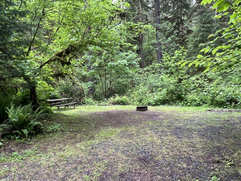 Cascadia County Park | Linn County, OR