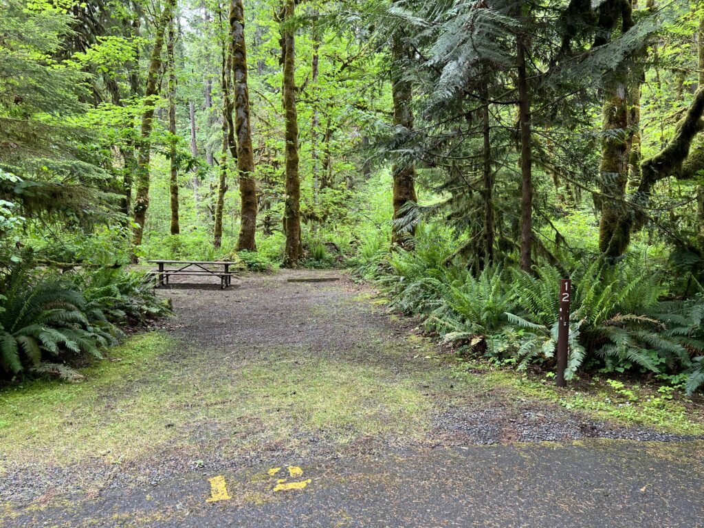 Cascadia County Park | Linn County, OR