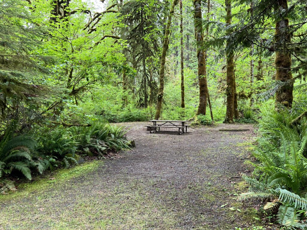 Cascadia County Park | Linn County, OR