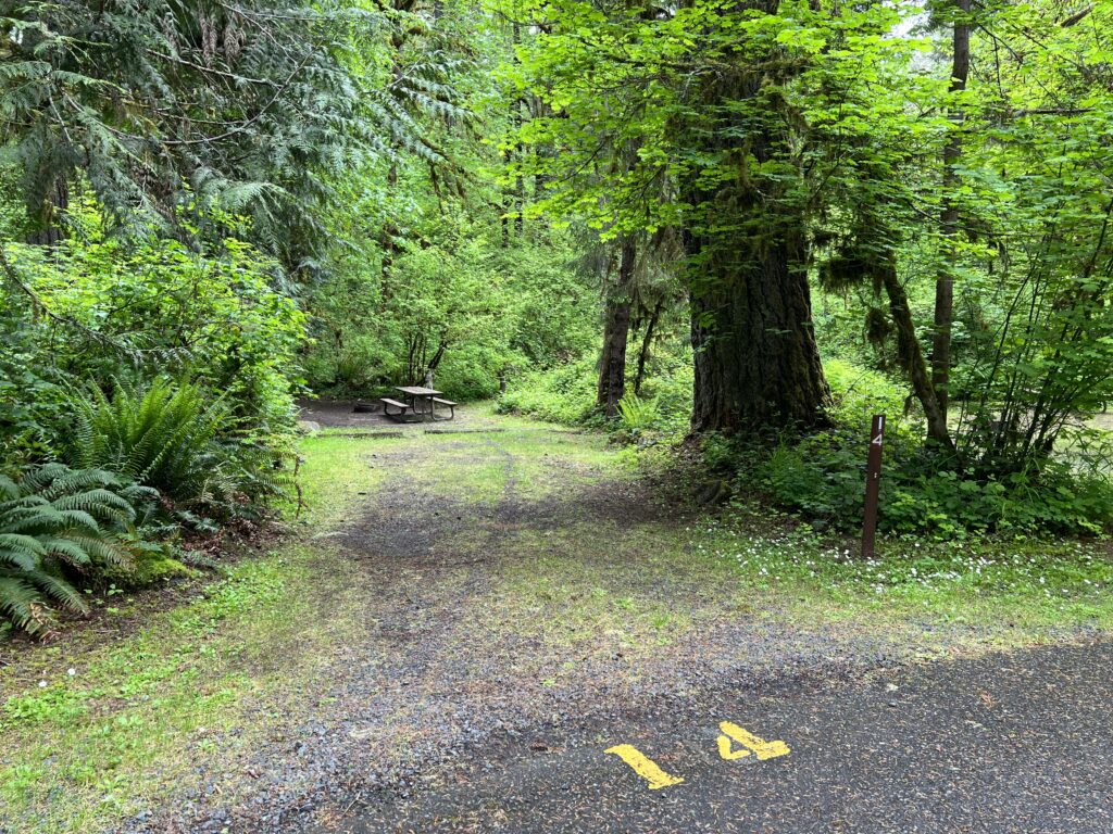 Cascadia County Park | Linn County, OR