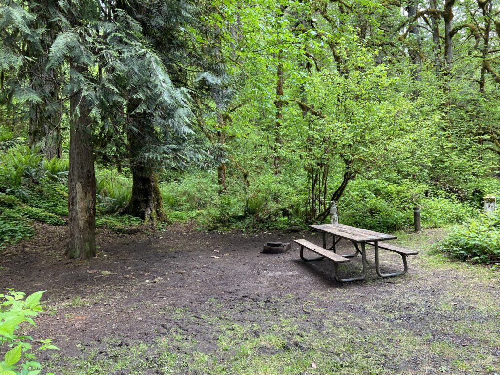 Cascadia County Park | Linn County, OR