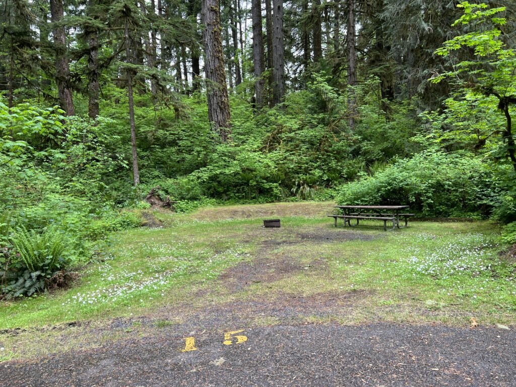 Cascadia County Park | Linn County, OR