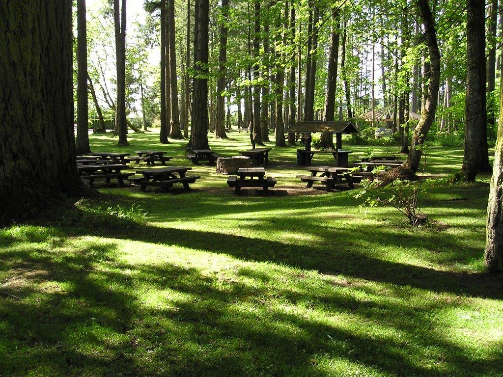 Waterloo County Park | Linn County, OR