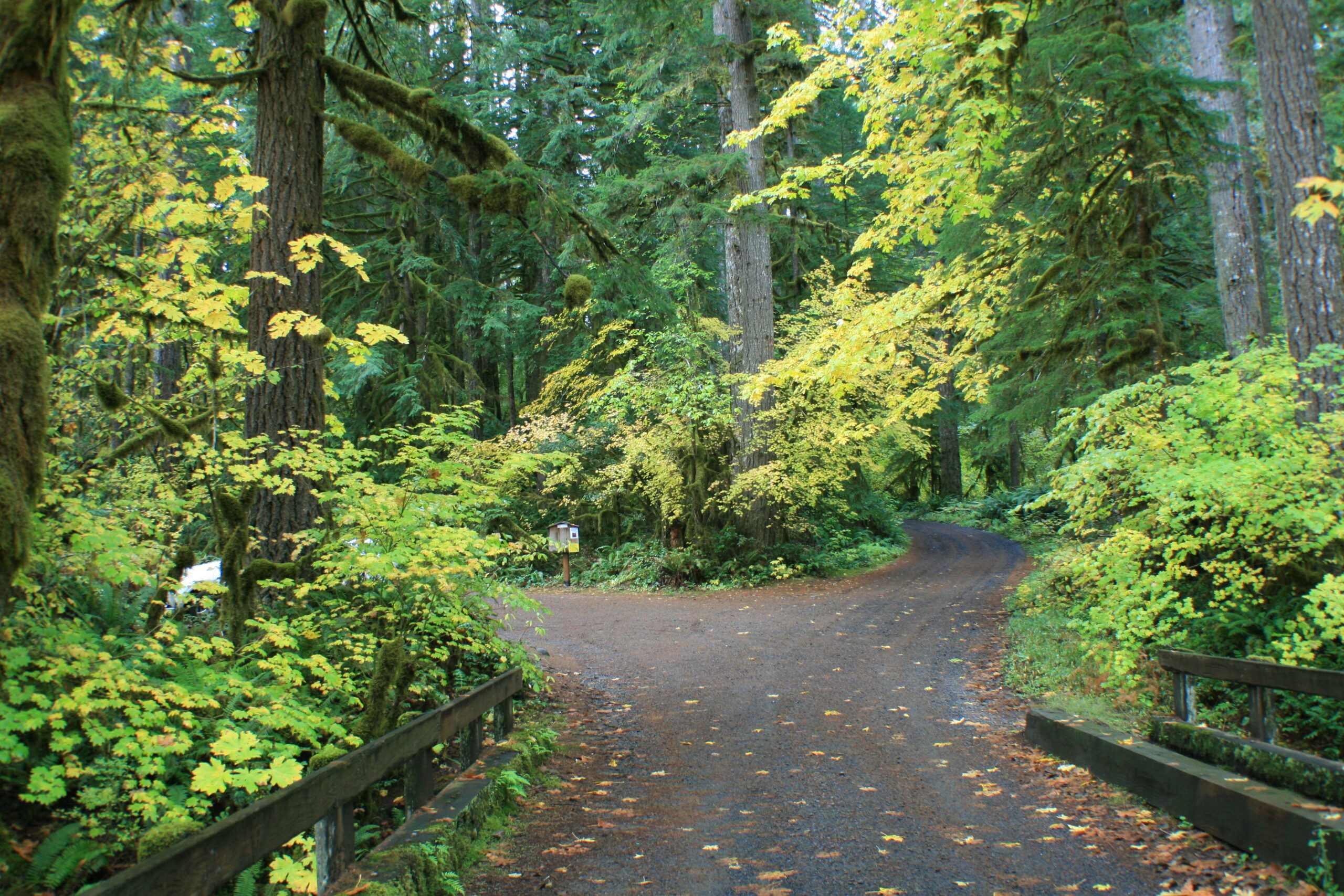 USFS Sweet Home Ranger District – Fernview Group Campground | Linn ...
