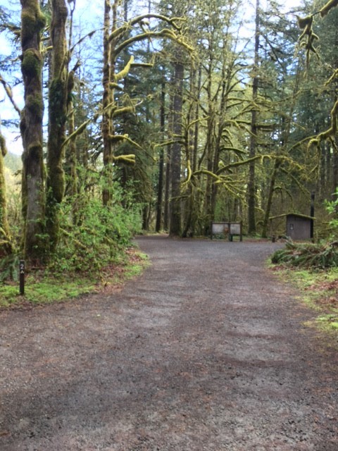 USFS Sweet Home Ranger District – Fernview Group Campground | Linn ...