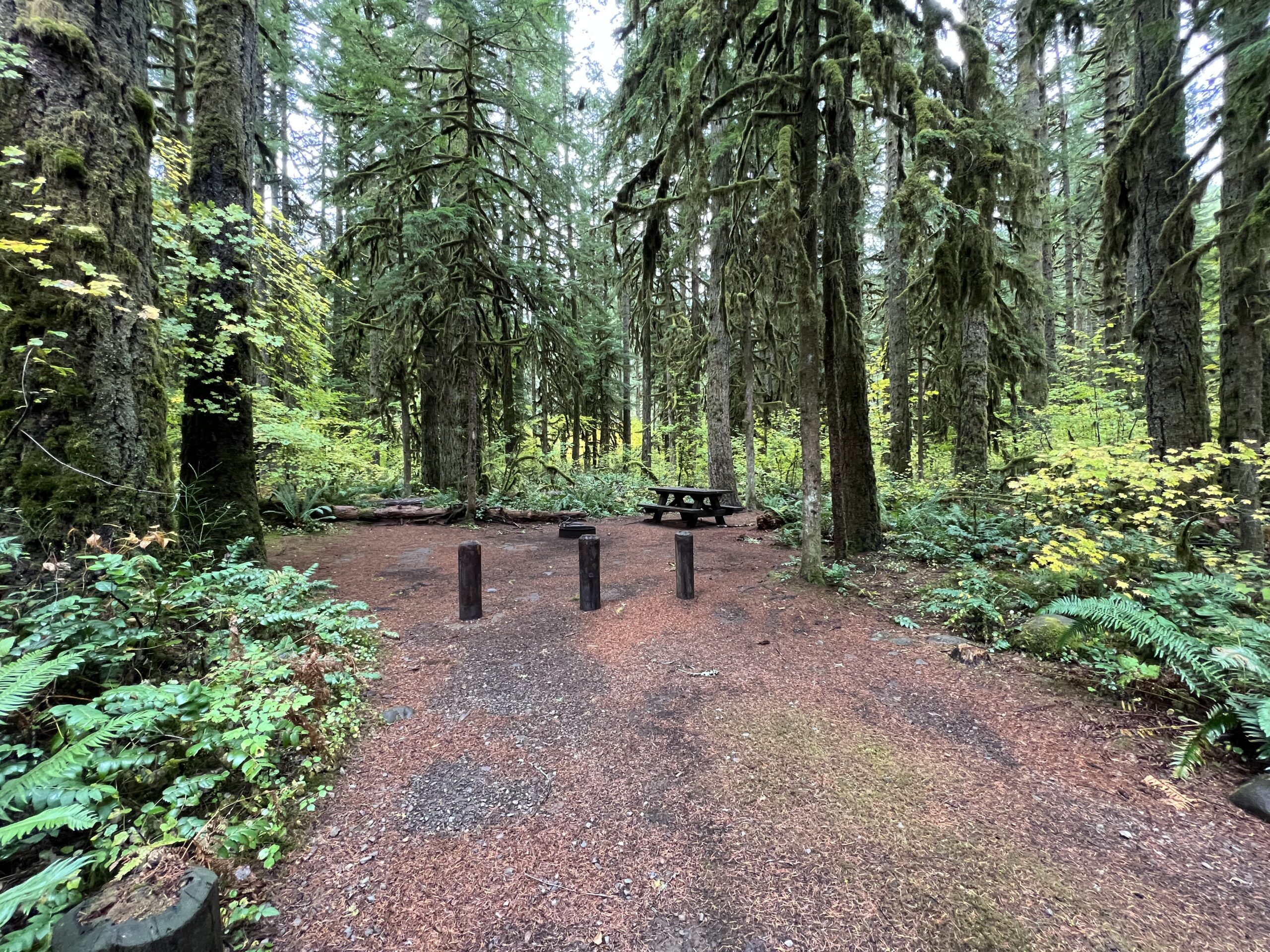 USFS Sweet Home Ranger District – Yukwah Campground | Linn County, OR