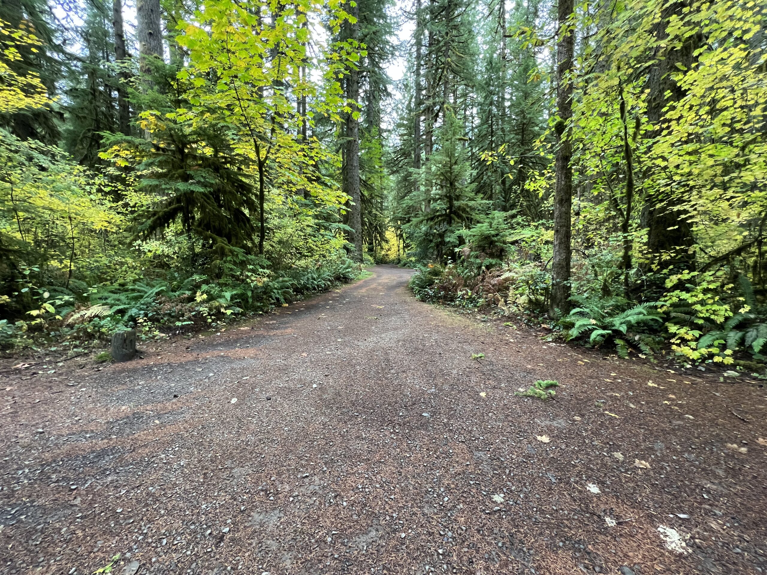 USFS Sweet Home Ranger District – Yukwah Campground | Linn County, OR
