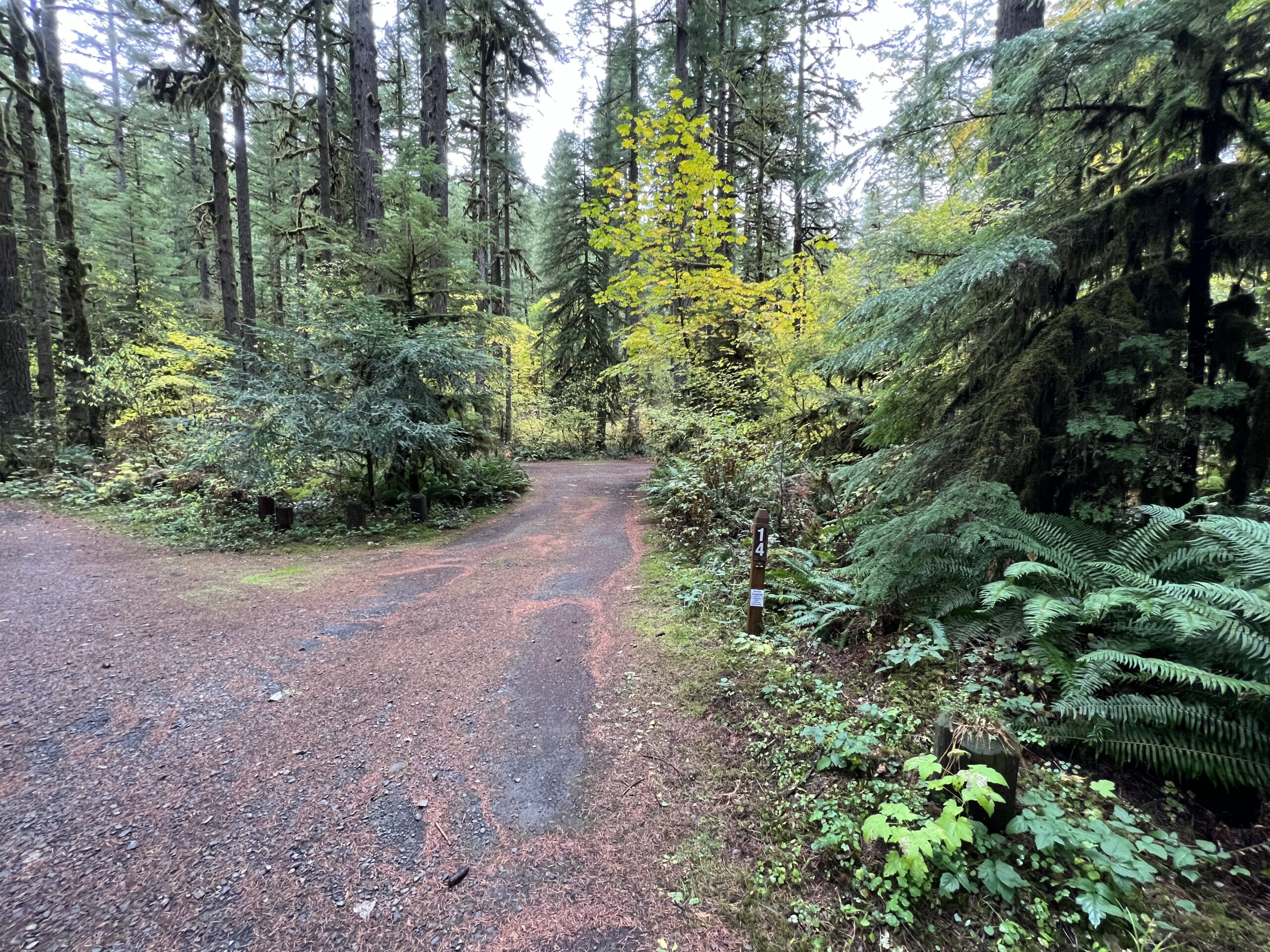 USFS Sweet Home Ranger District – Yukwah Campground | Linn County, OR
