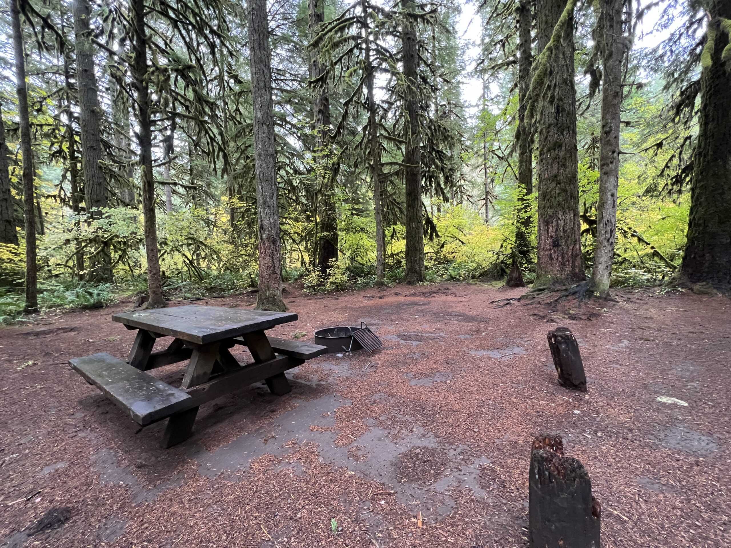 USFS Sweet Home Ranger District – Yukwah Campground | Linn County, OR