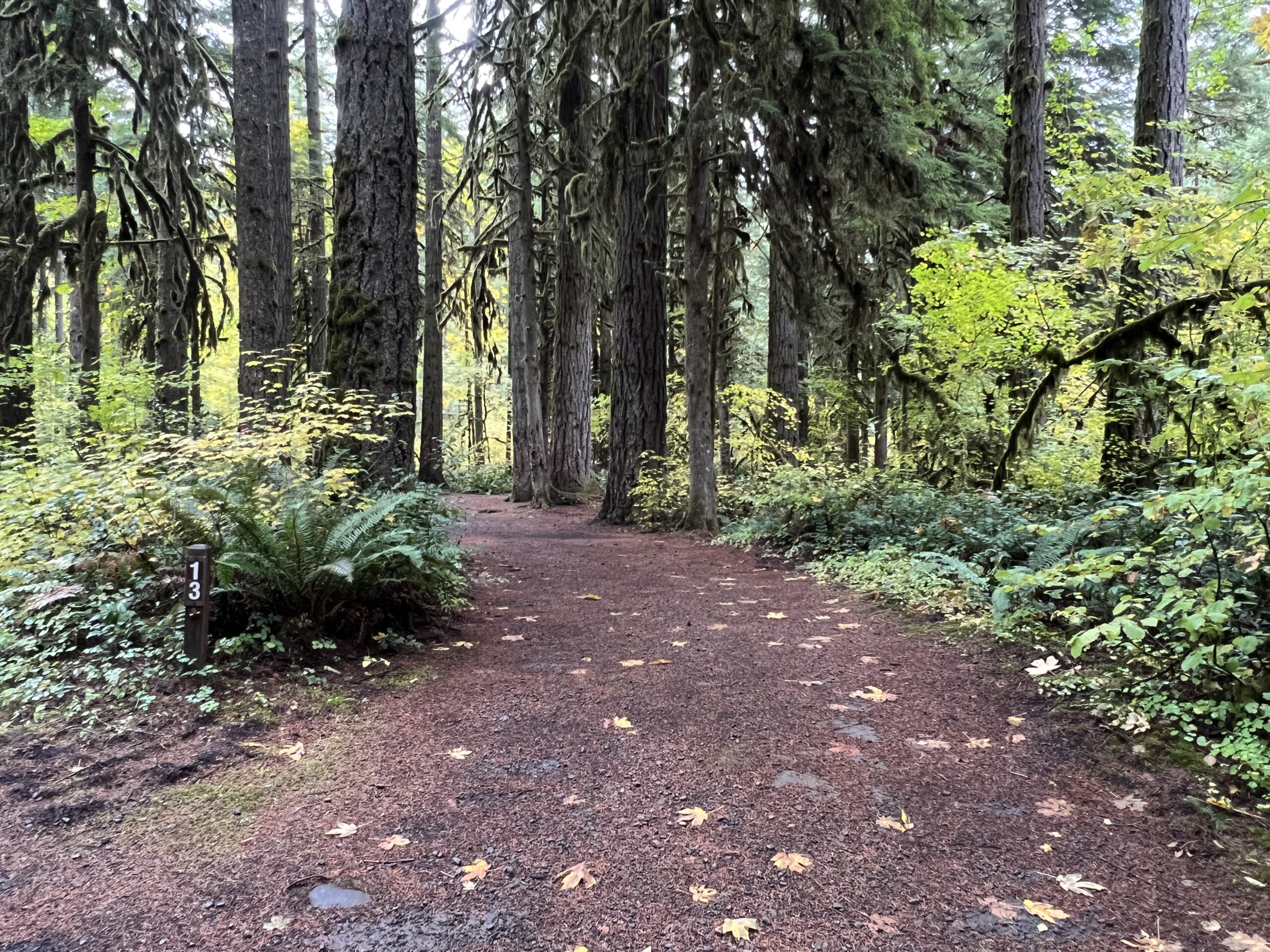 USFS Sweet Home Ranger District – Yukwah Campground | Linn County, OR