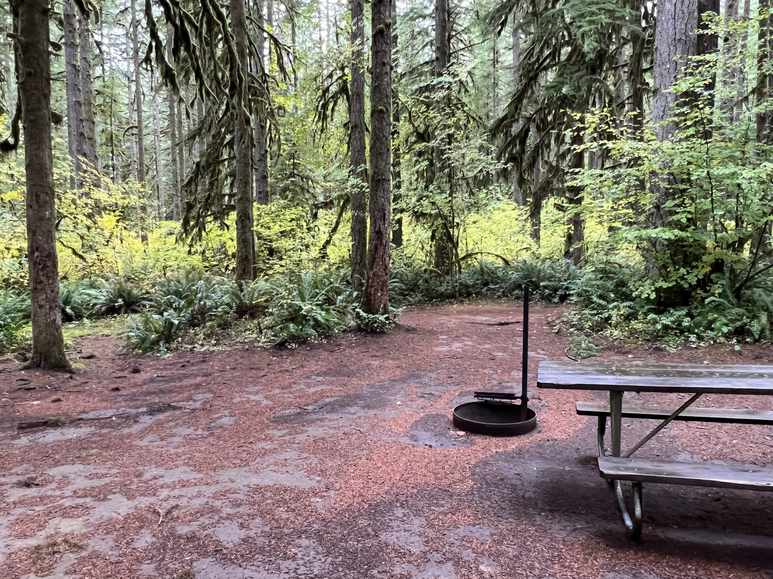 USFS Sweet Home Ranger District – Yukwah Campground | Linn County, OR
