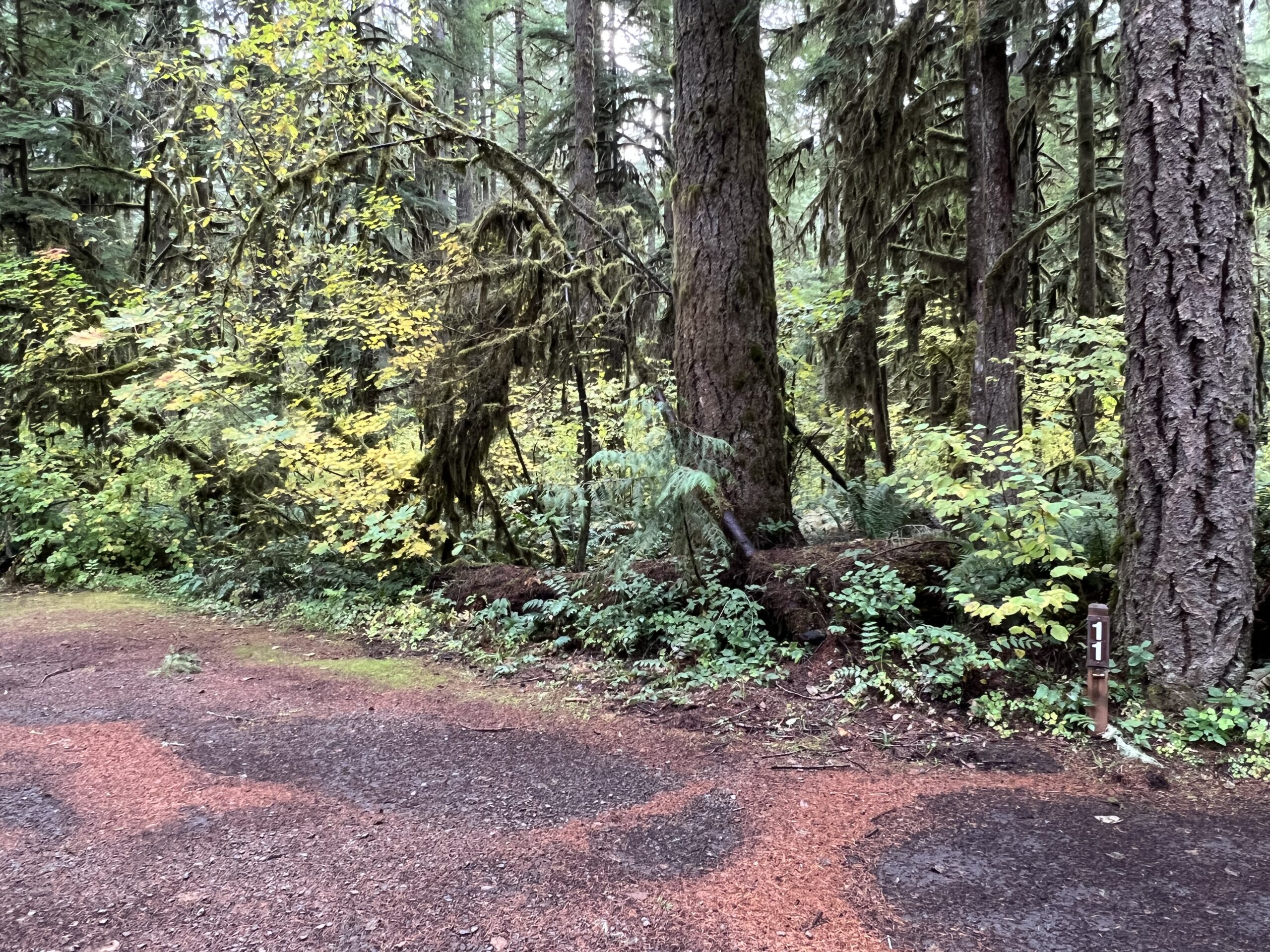 USFS Sweet Home Ranger District – Yukwah Campground | Linn County, OR