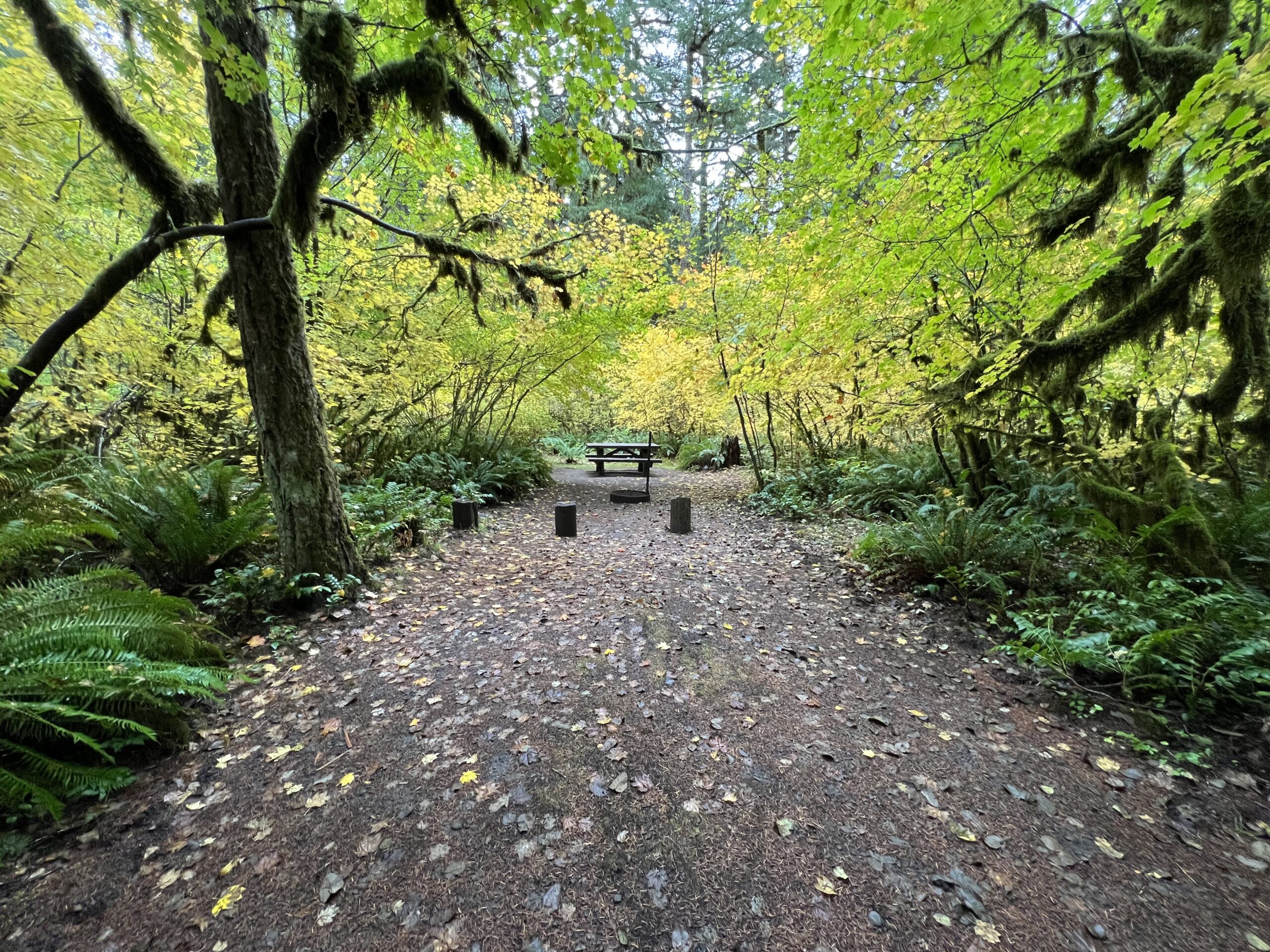 USFS Sweet Home Ranger District – Yukwah Campground | Linn County, OR