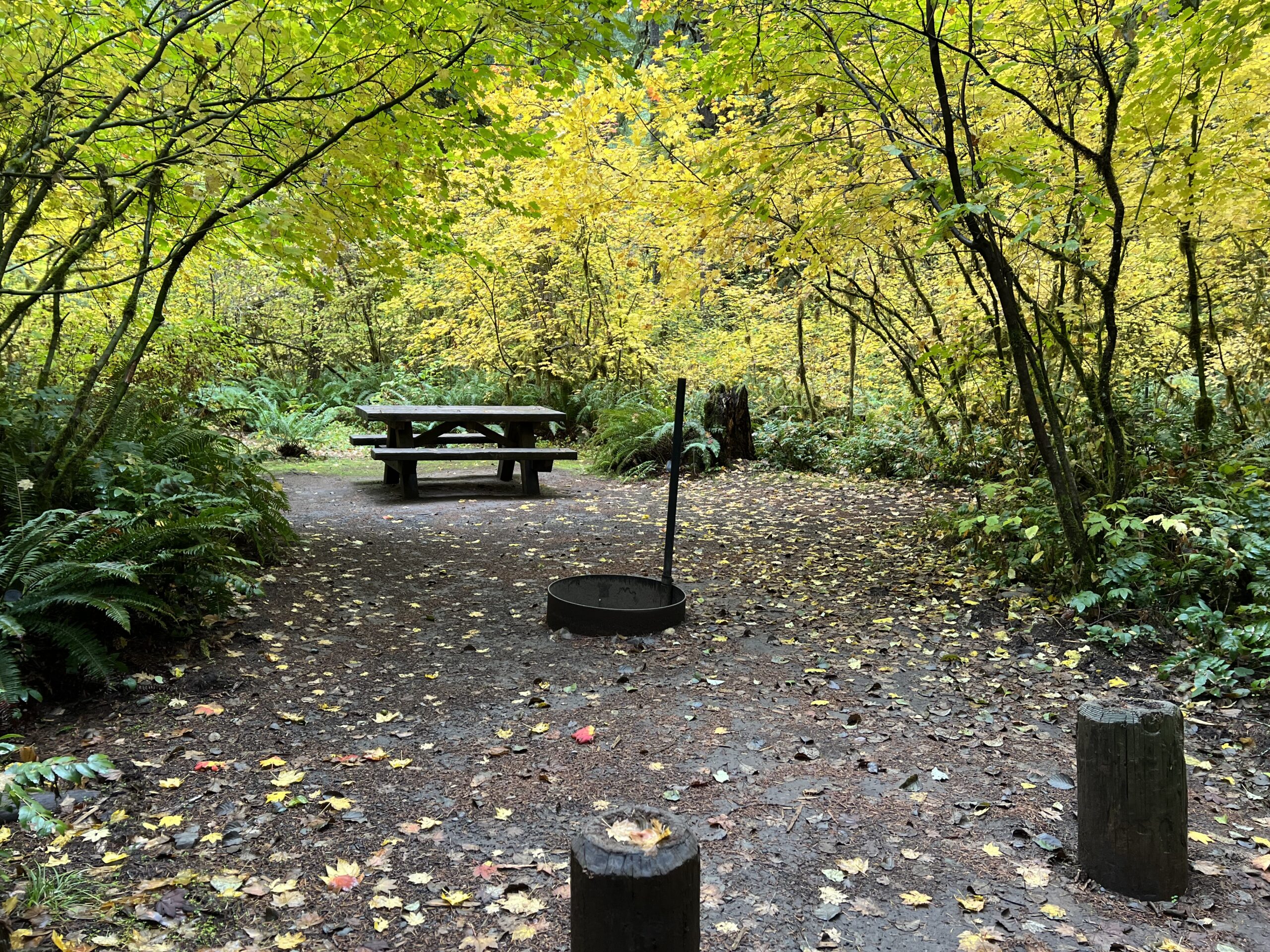 USFS Sweet Home Ranger District – Yukwah Campground | Linn County, OR