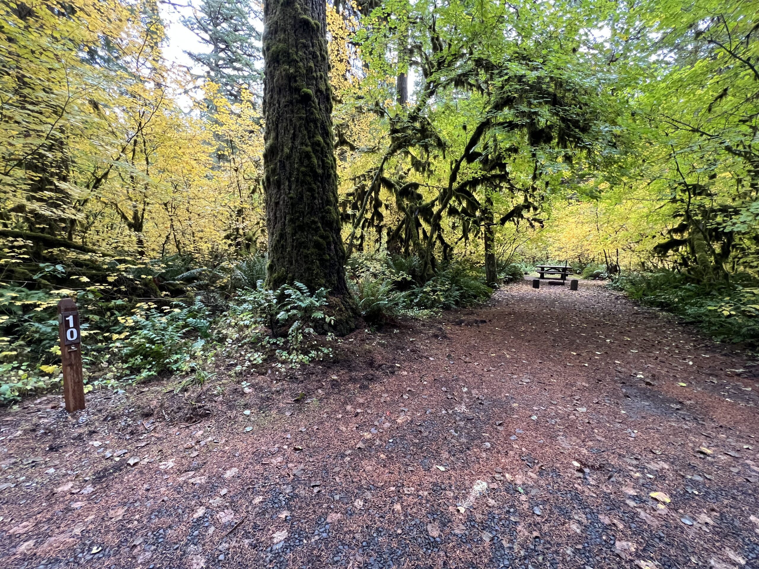 USFS Sweet Home Ranger District – Yukwah Campground | Linn County, OR