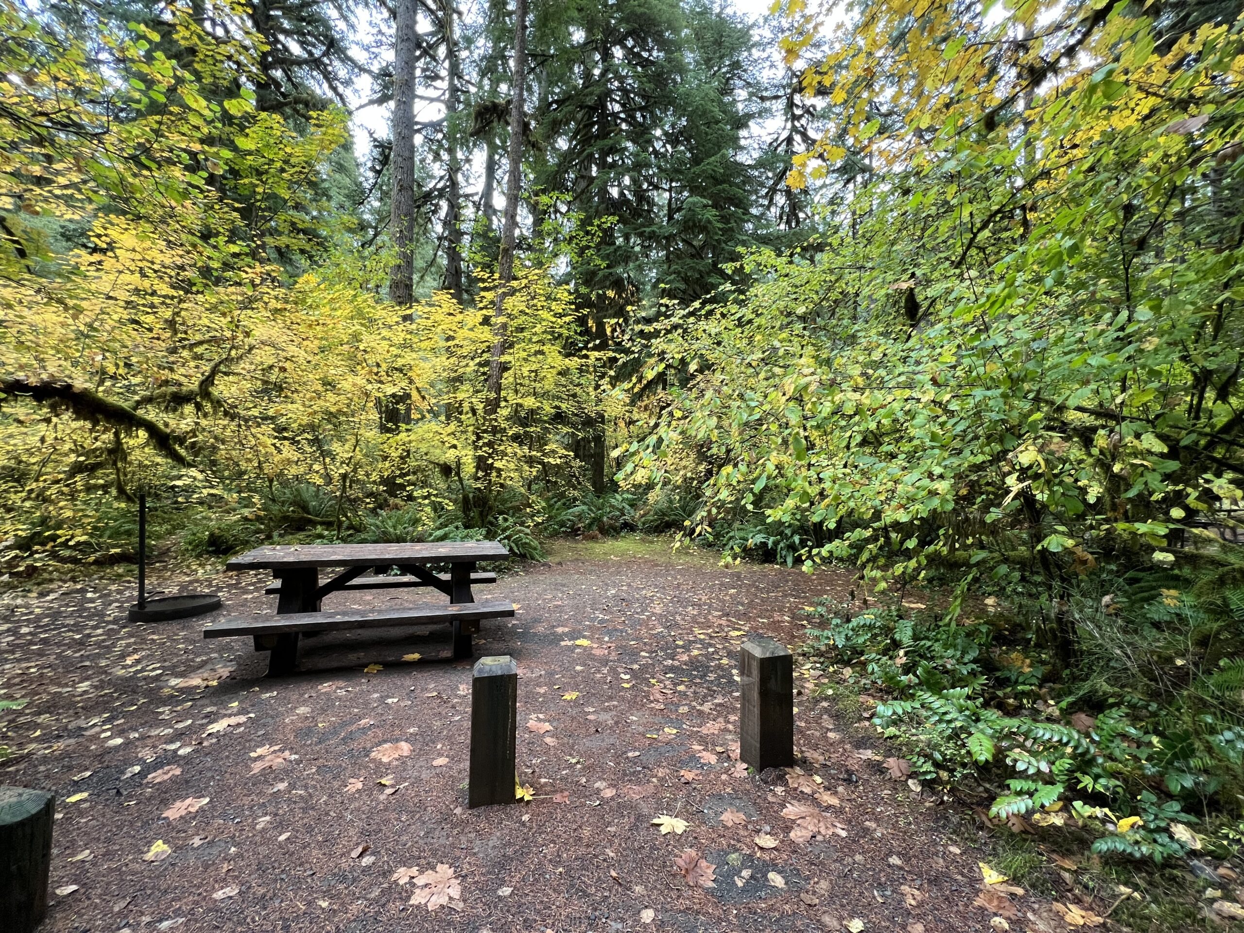USFS Sweet Home Ranger District – Yukwah Campground | Linn County, OR