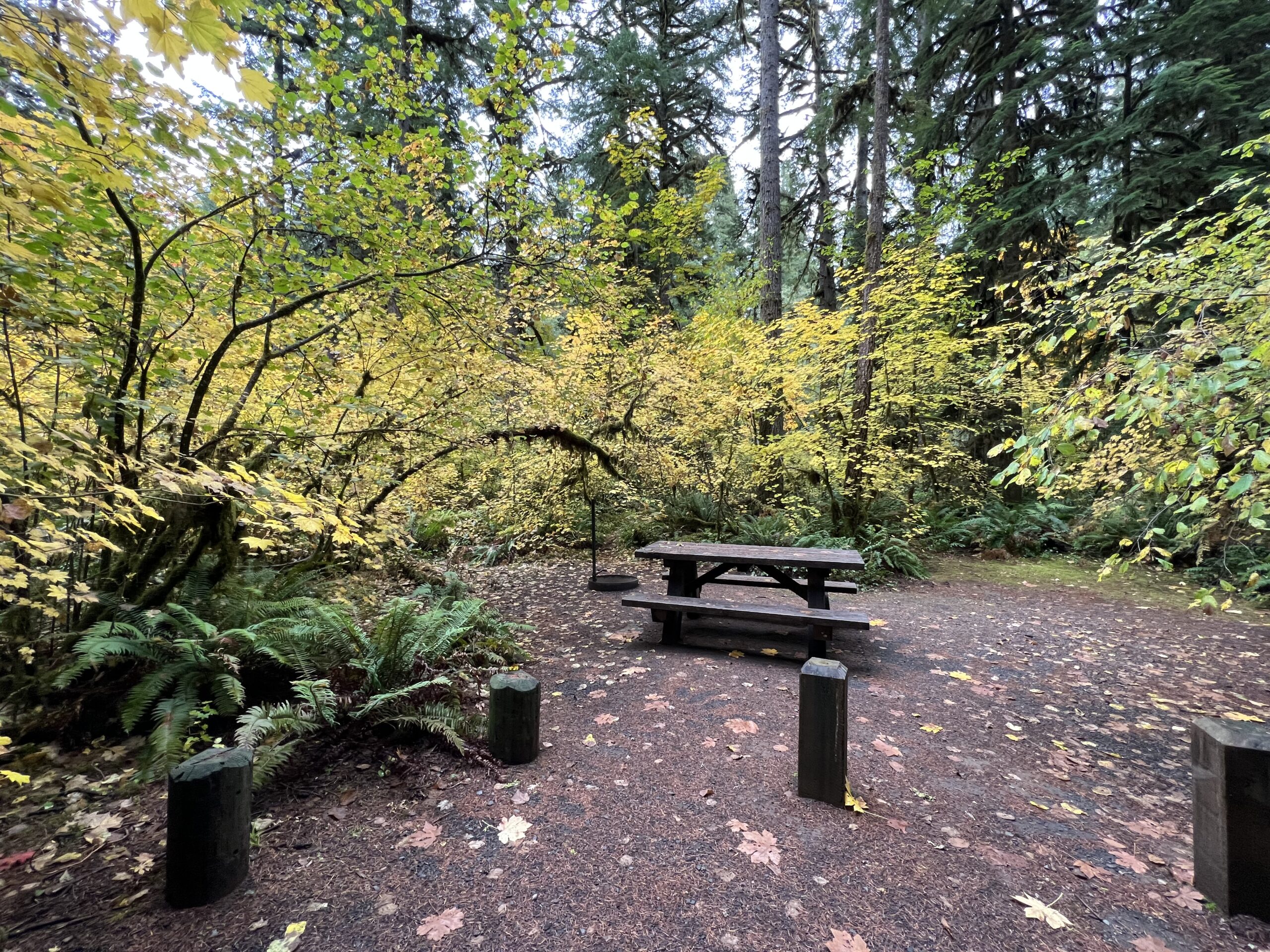 USFS Sweet Home Ranger District – Yukwah Campground | Linn County, OR