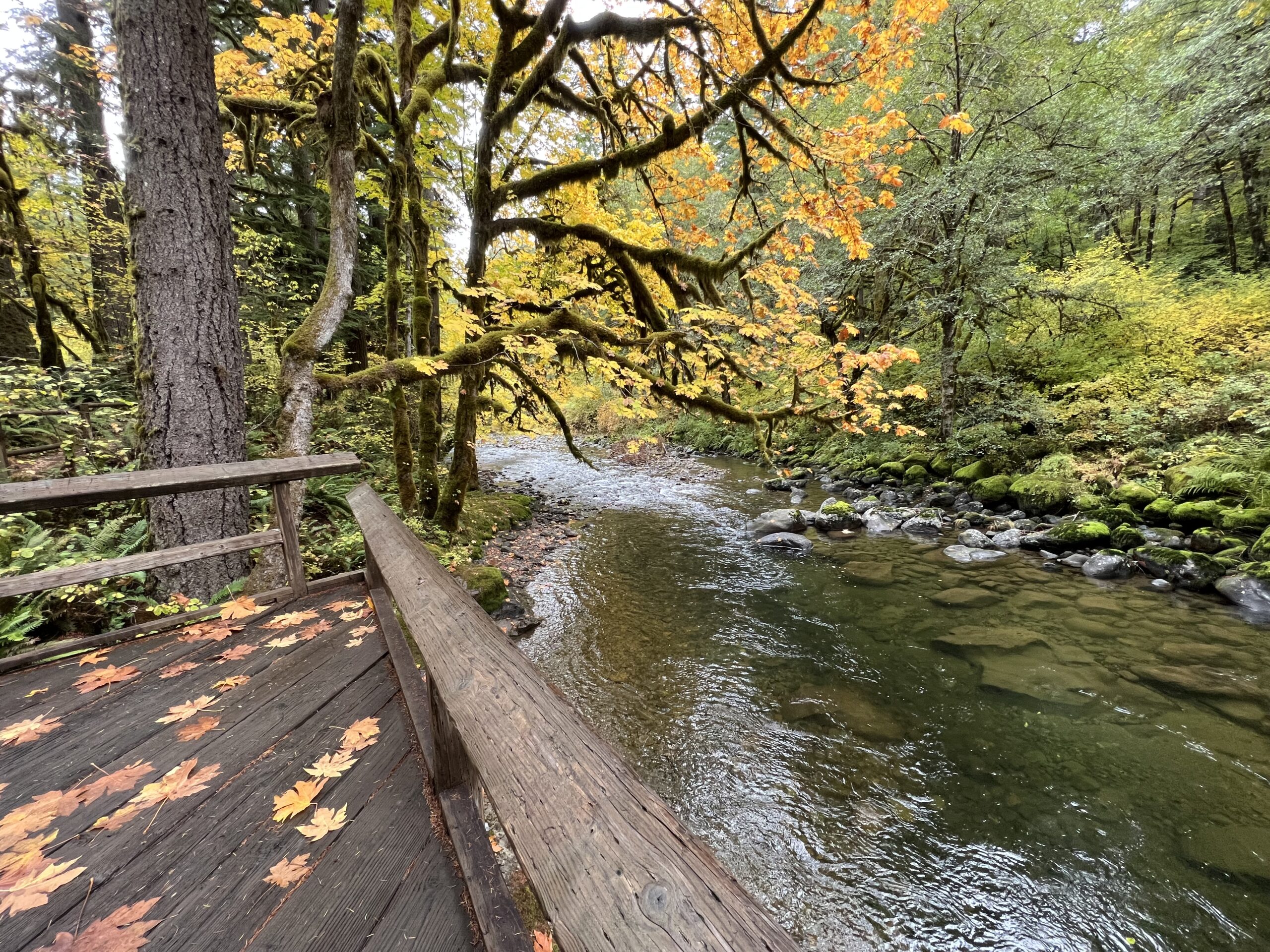 USFS Sweet Home Ranger District – Yukwah Campground | Linn County, OR
