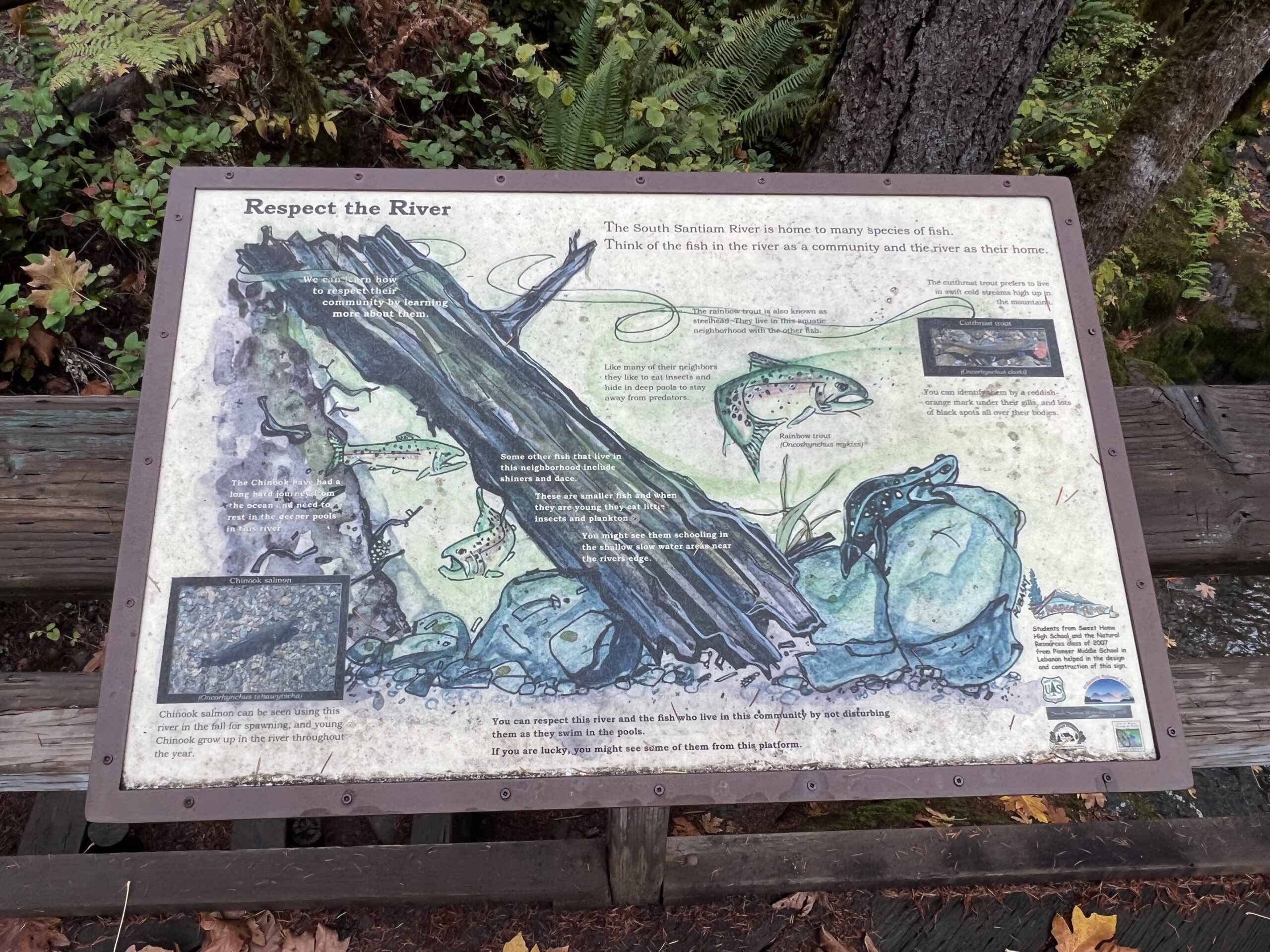 USFS Sweet Home Ranger District – Yukwah Campground | Linn County, OR