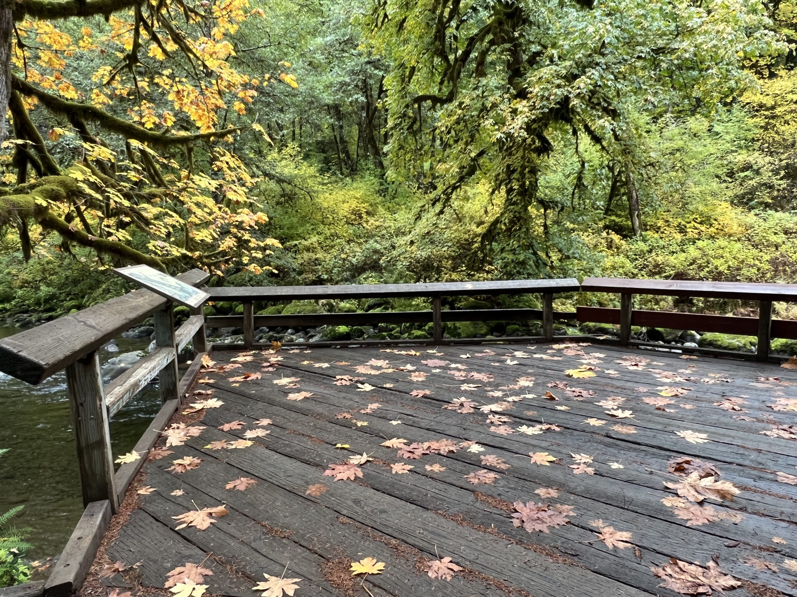 USFS Sweet Home Ranger District – Yukwah Campground | Linn County, OR