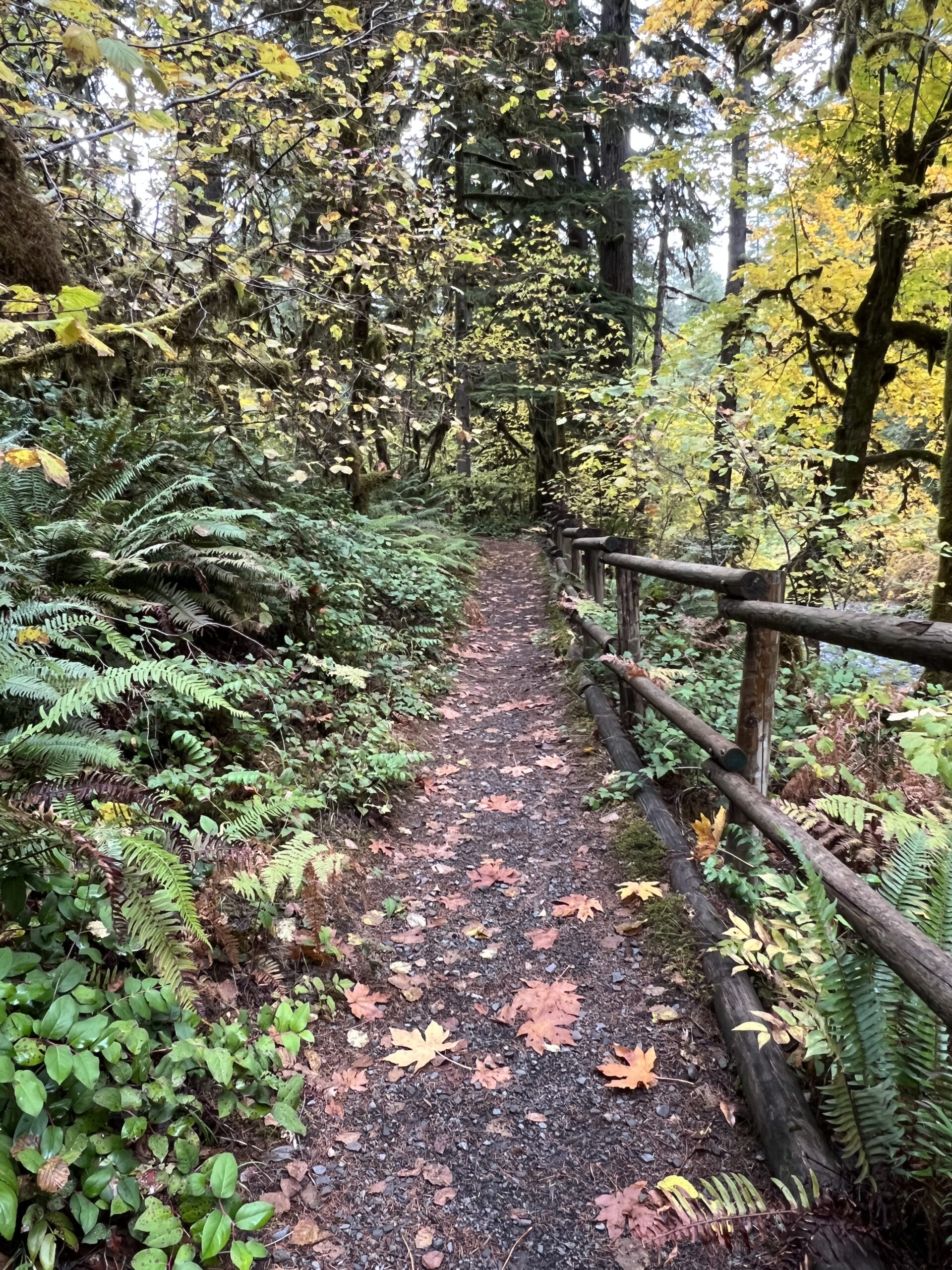 USFS Sweet Home Ranger District – Yukwah Campground | Linn County, OR