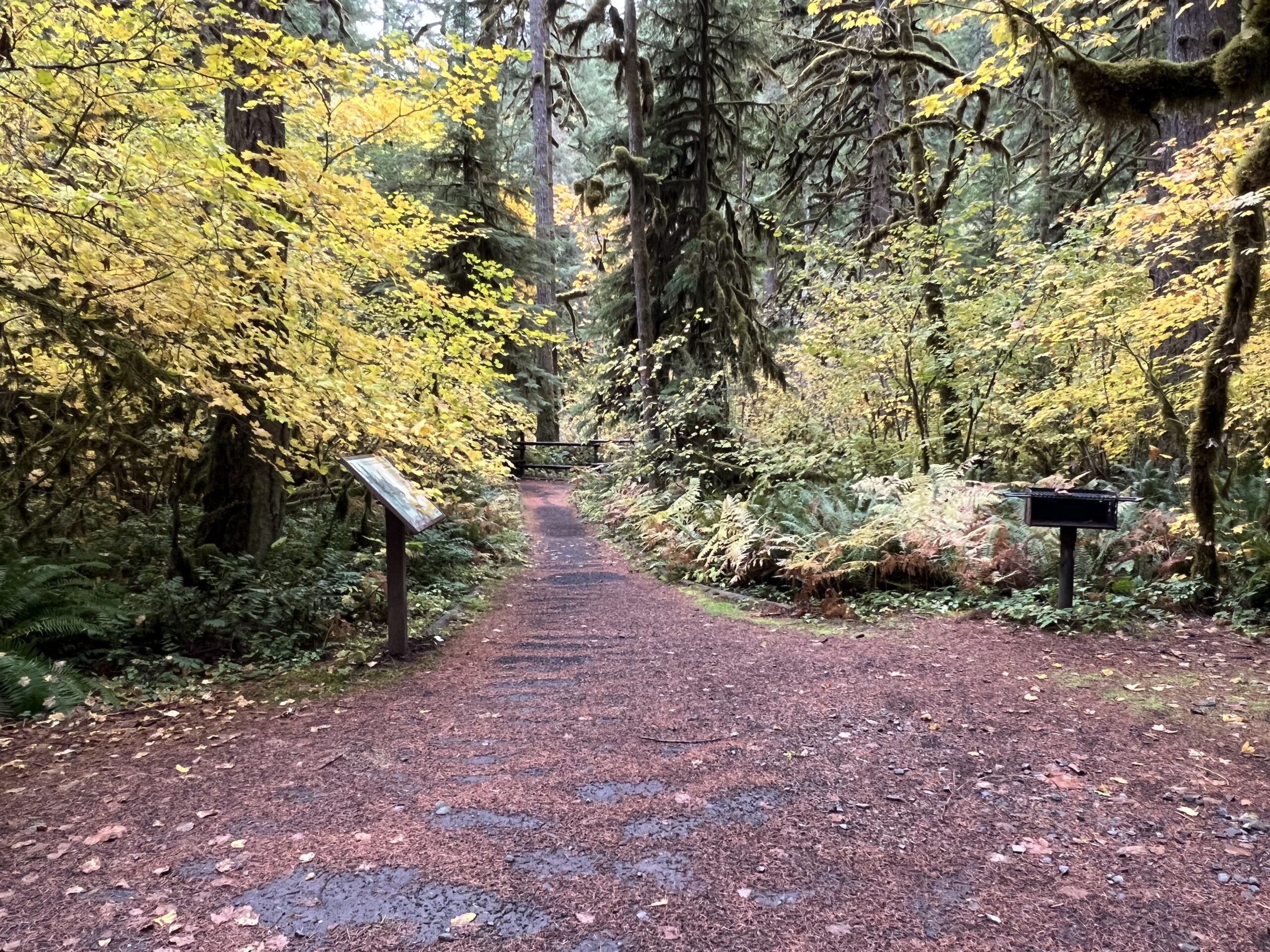 USFS Sweet Home Ranger District – Yukwah Campground | Linn County, OR