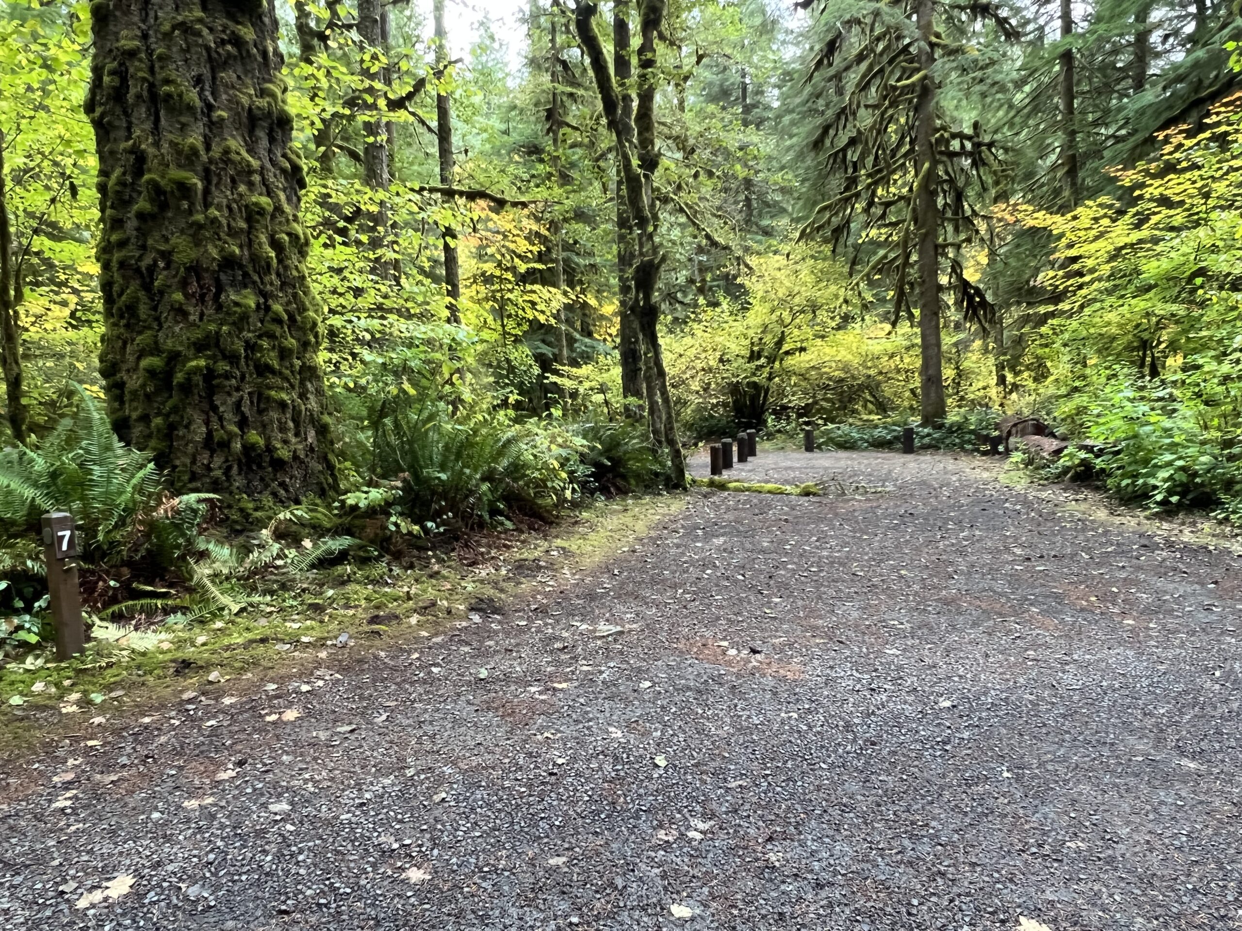 USFS Sweet Home Ranger District – Yukwah Campground | Linn County, OR