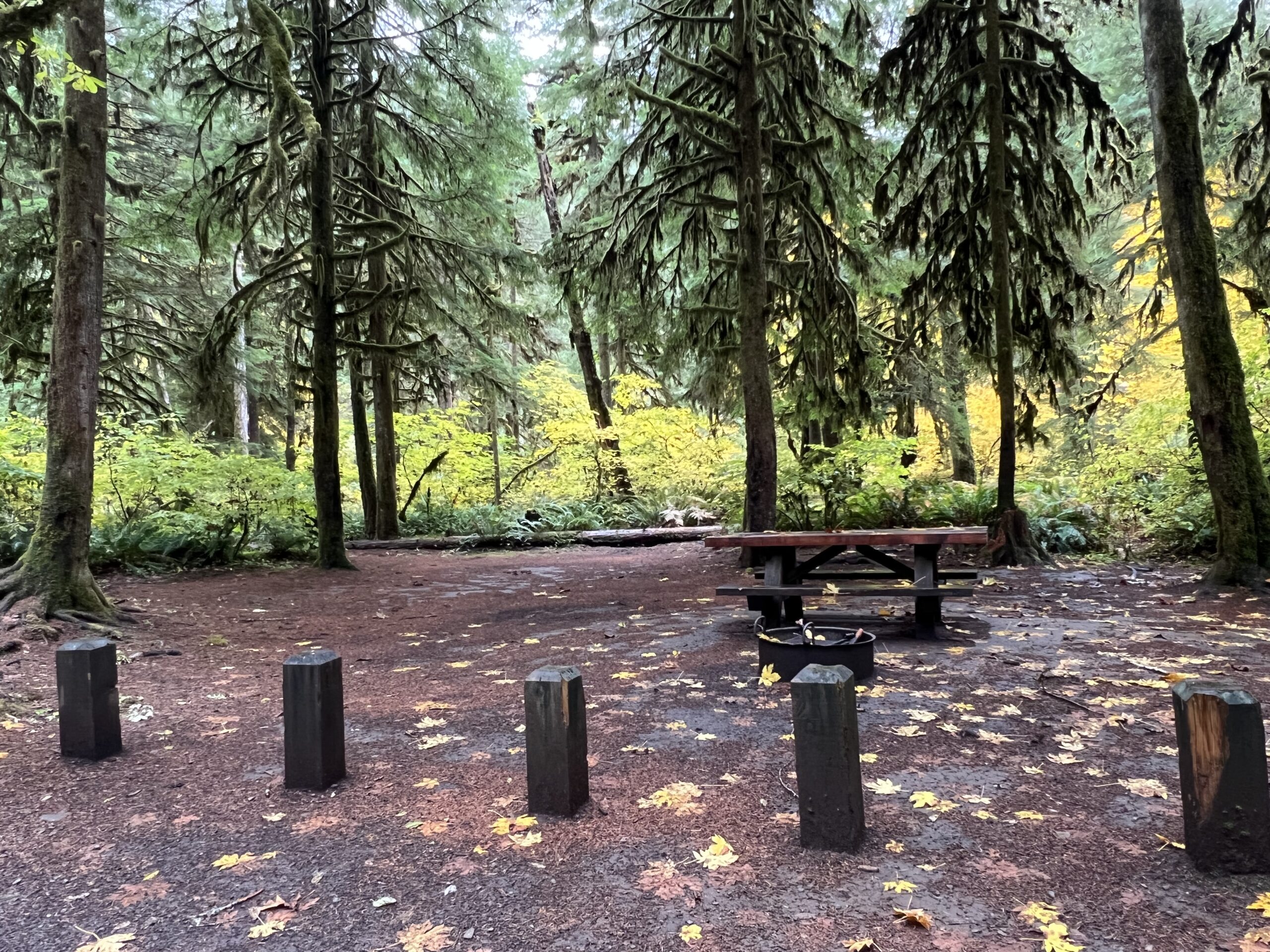 USFS Sweet Home Ranger District – Yukwah Campground | Linn County, OR