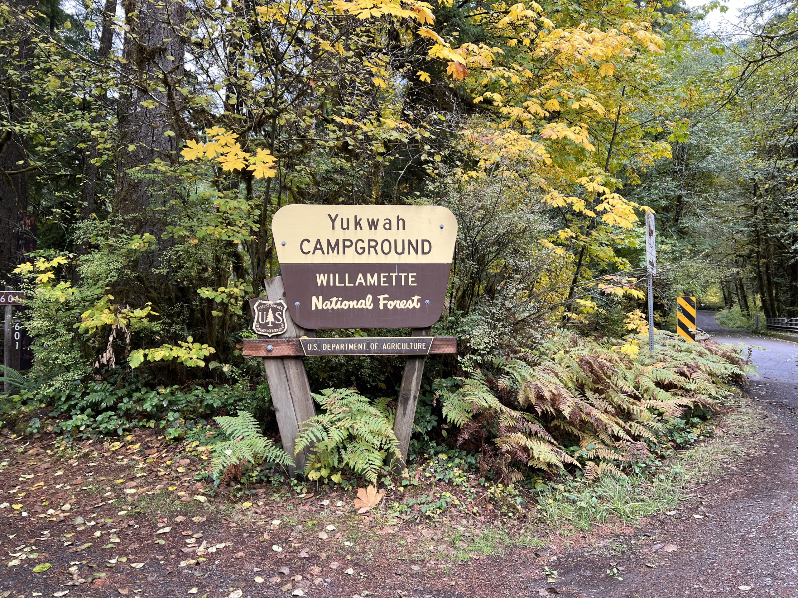 USFS Sweet Home Ranger District – Yukwah Campground | Linn County, OR